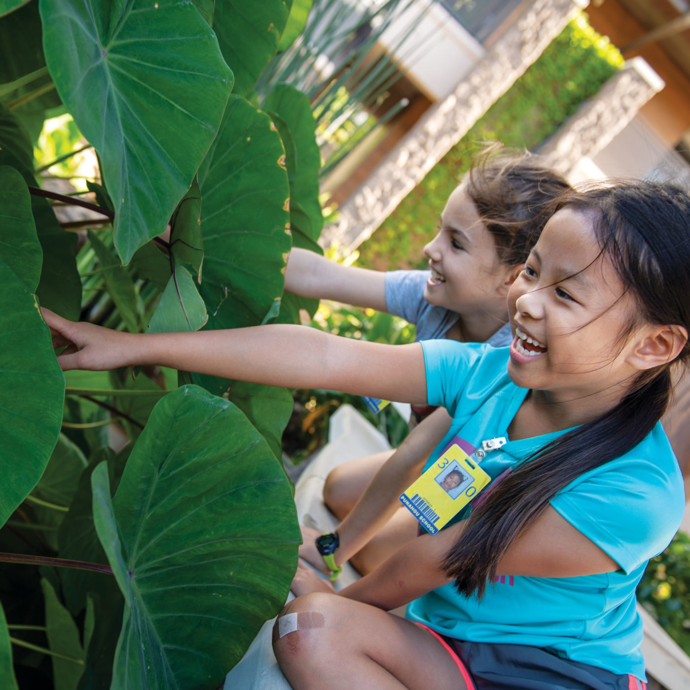 The Gift of Ka‘aumoana - Punahou School