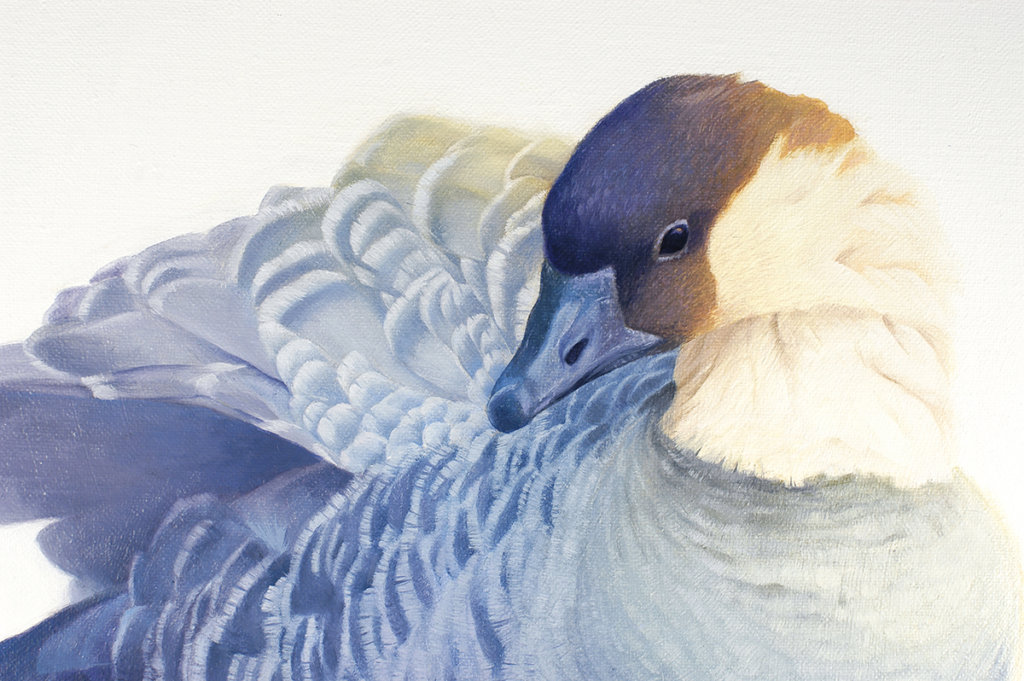 Carnival Art Gallery Opens Jan. 31 - Punahou School