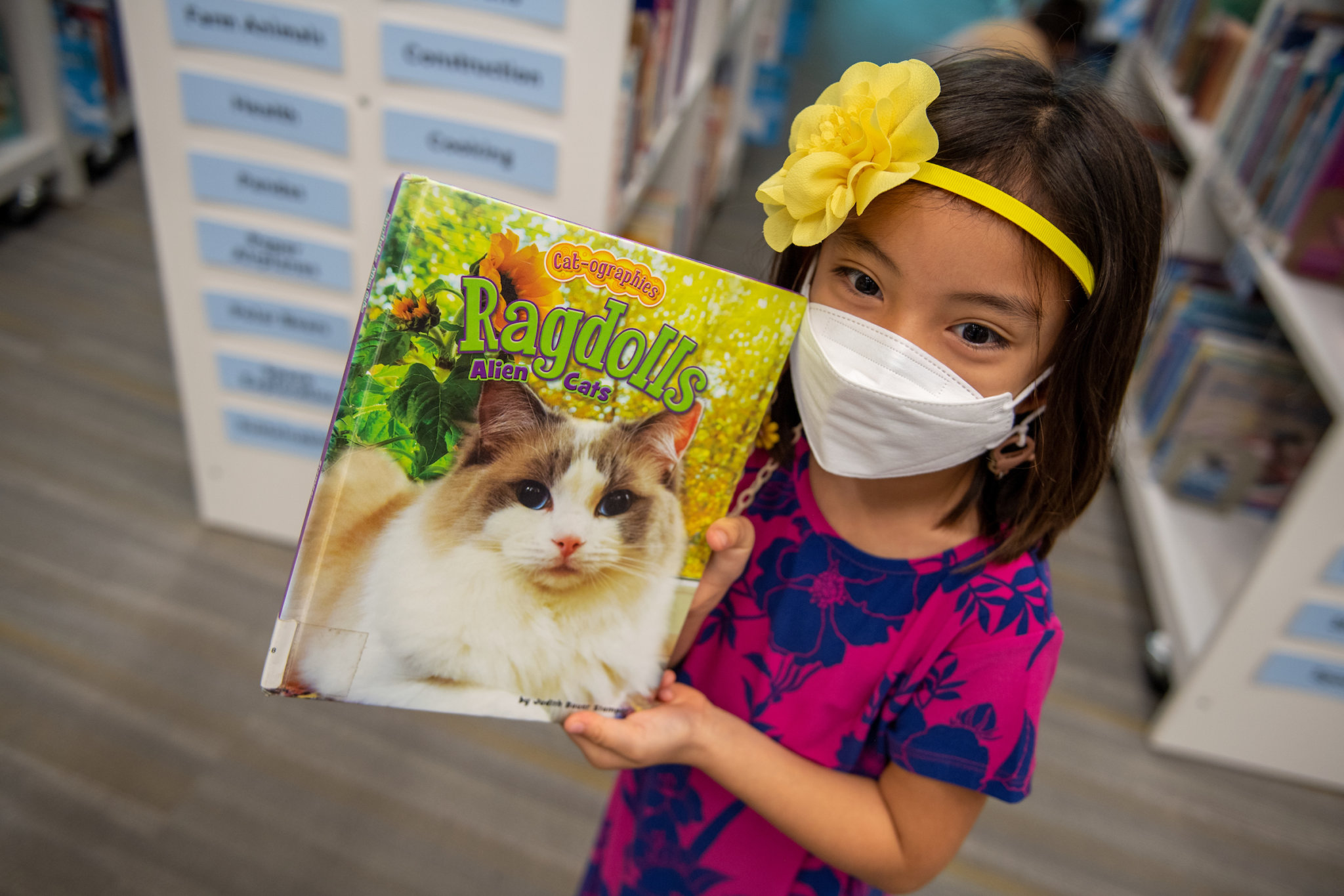 Inside the Classroom: Kindergartners at the Library - Punahou School