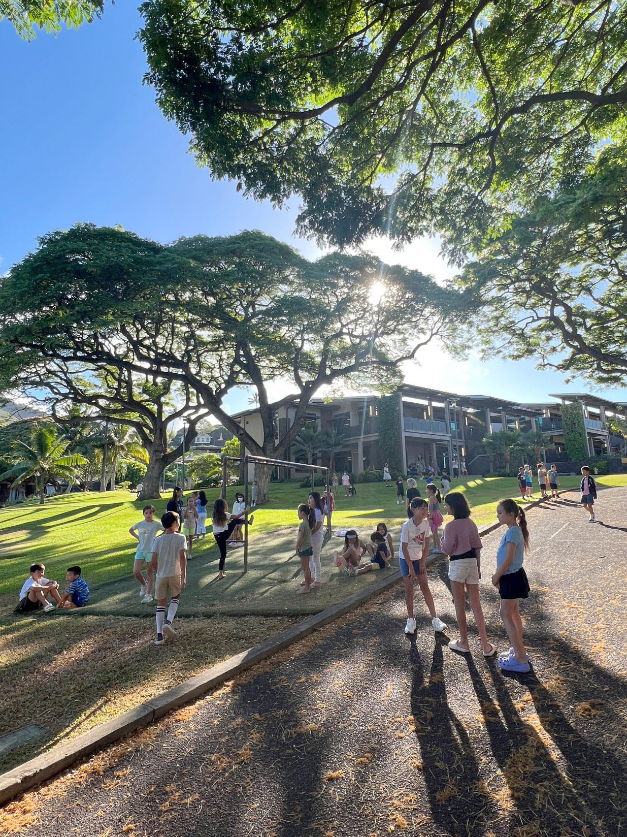 Summer School Shines - Punahou School