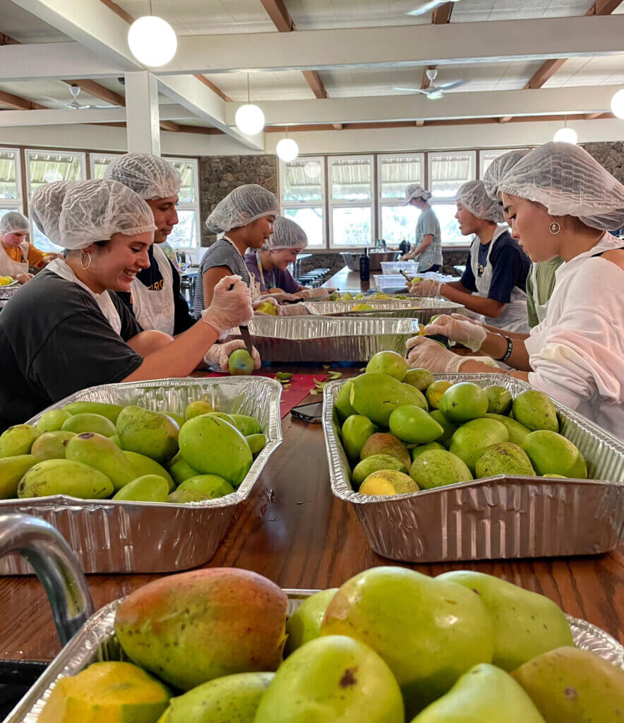 It's Mango Time - Punahou School