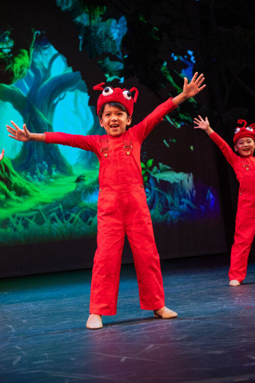 Punahou Dance School’s “Robin Hood” Showcases Talent and Community ...